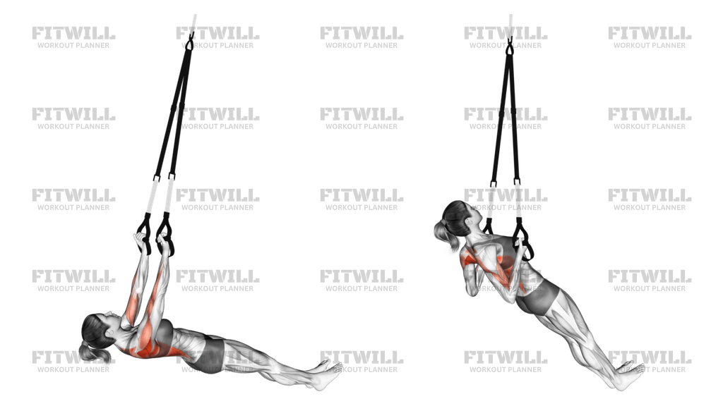 Suspension Underhand Grip Inverted Row: Exercise Guide, Techniques, Benefits, How to, Muscles ...