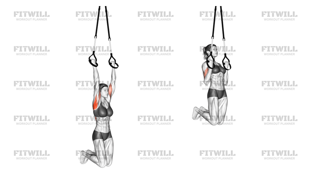 Suspension Chin-Up: Exercise Guide, Techniques, Benefits, How to ...