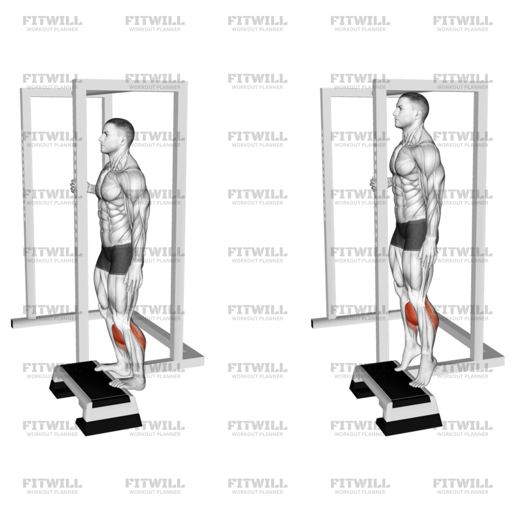 Elevación De Gemelos De Pie Elevada: Guía de Ejercicios, Video ...