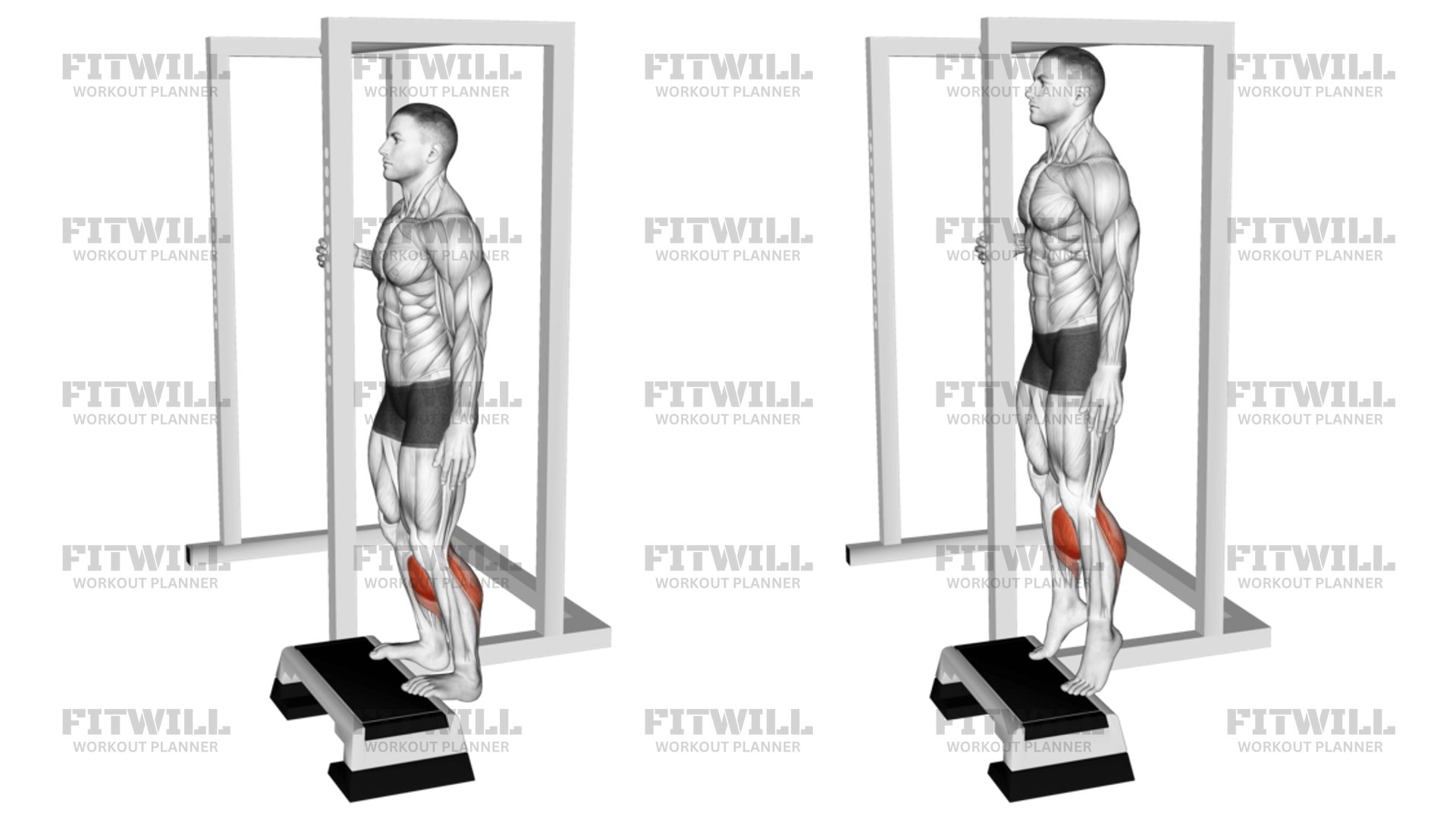 Elevated Standing Calf Raise: Exercise Guide, Video, Techniques ...