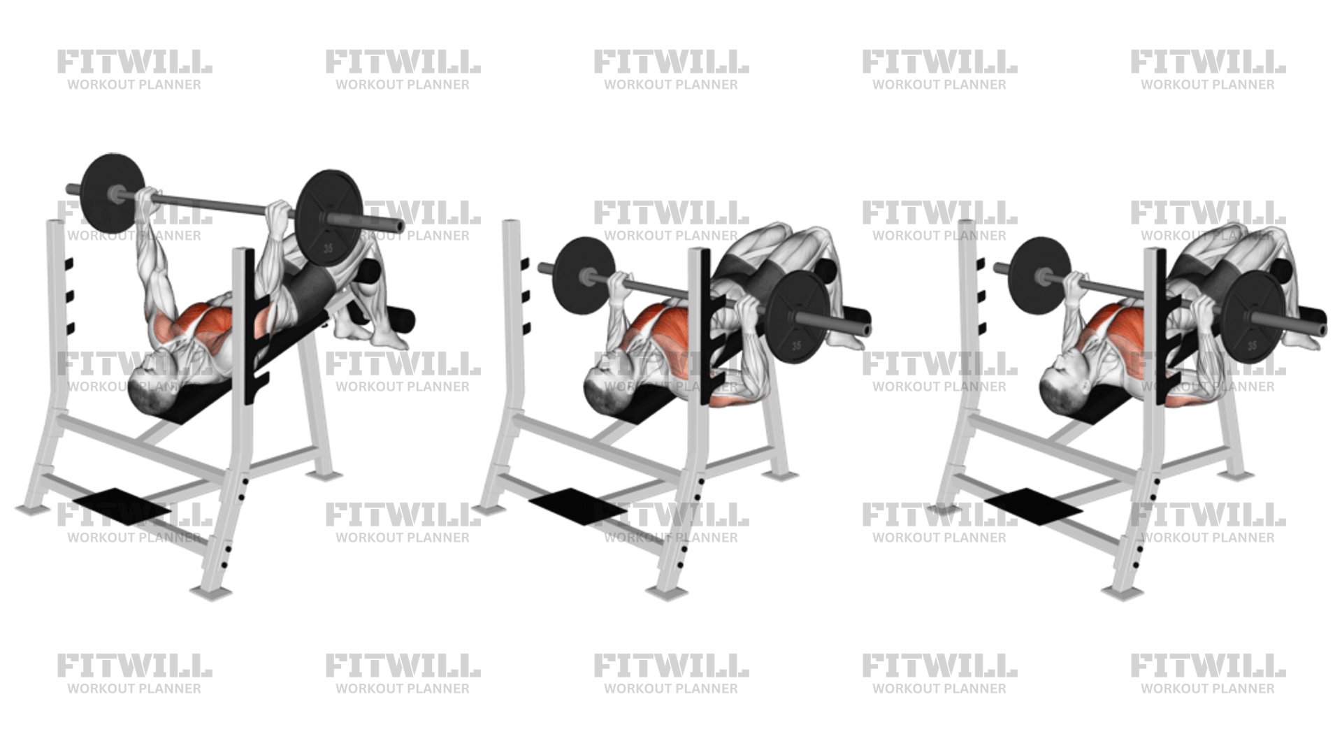 Press De Banca Declinado Con Barra Y Pausa: Guía de Ejercicios, Video ...