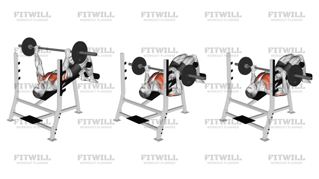 Barbell Pause Decline Bench Press: Exercise Guide, Video, Techniques ...