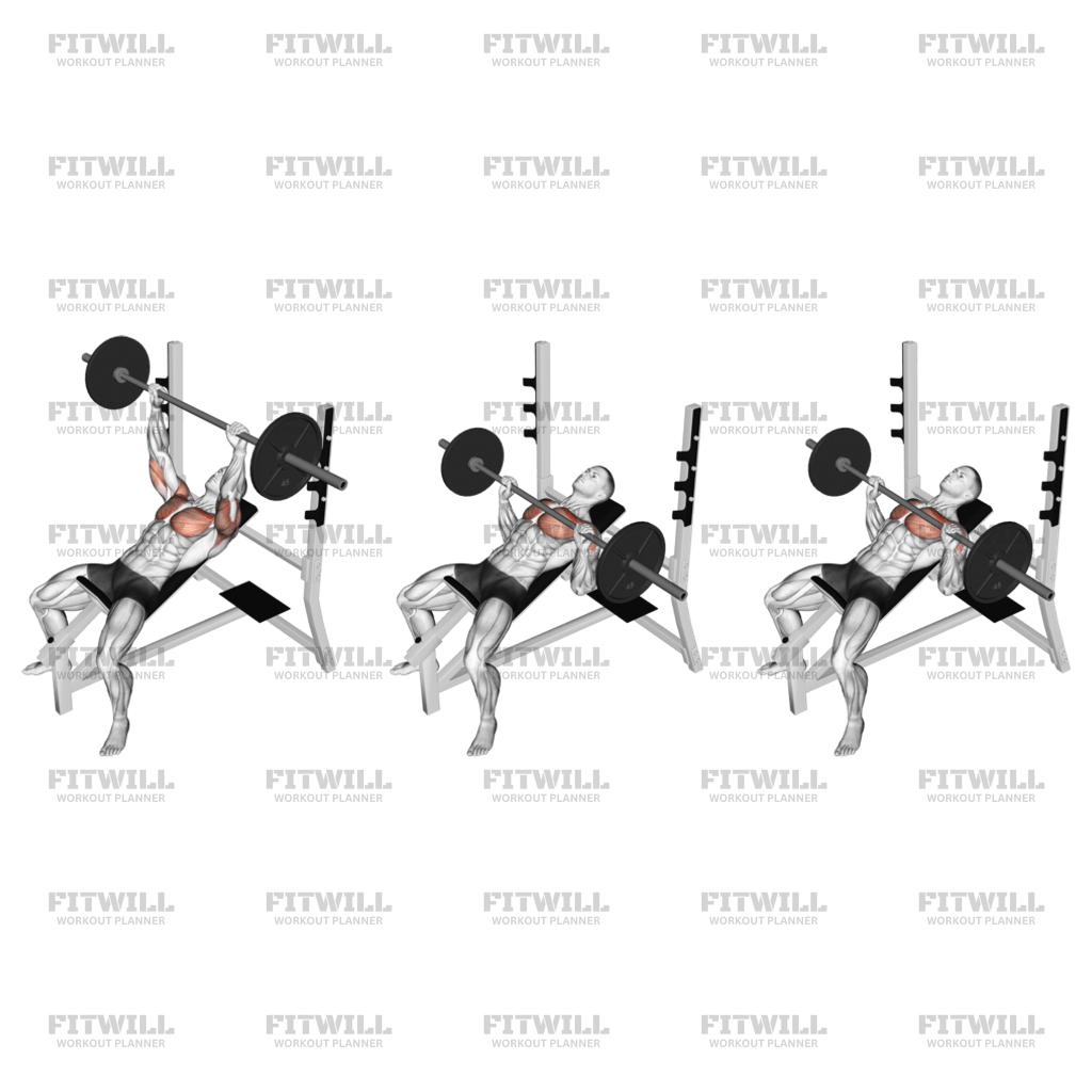 Barbell Pause Incline Bench Press: Exercise Guide, Video, Techniques ...