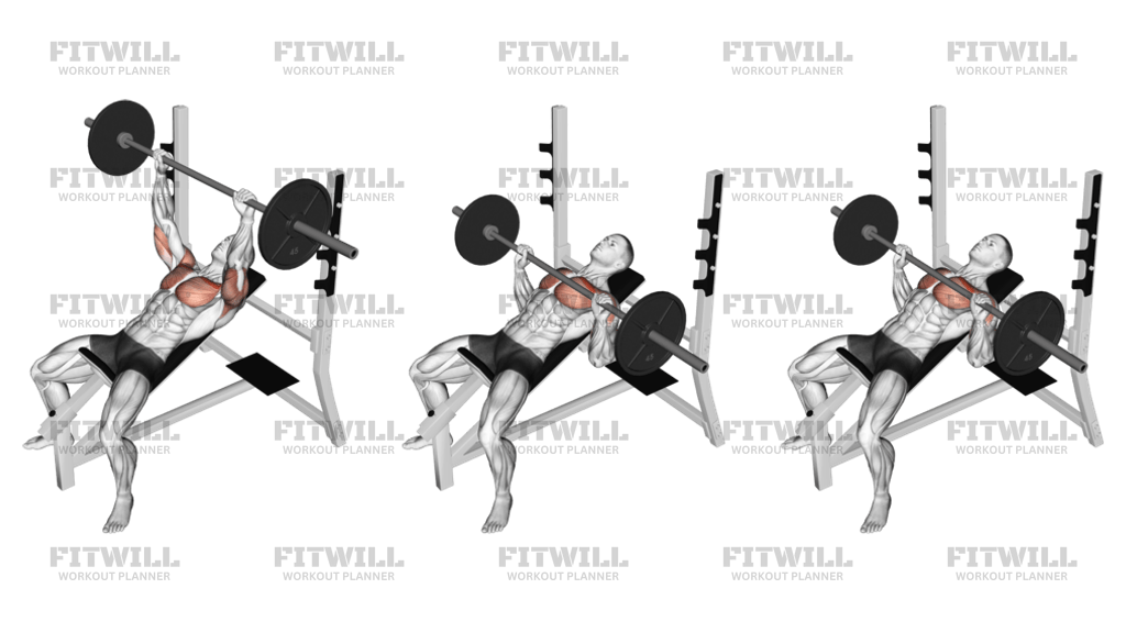 Barbell Pause Incline Bench Press: Exercise Guide, Video, Techniques ...