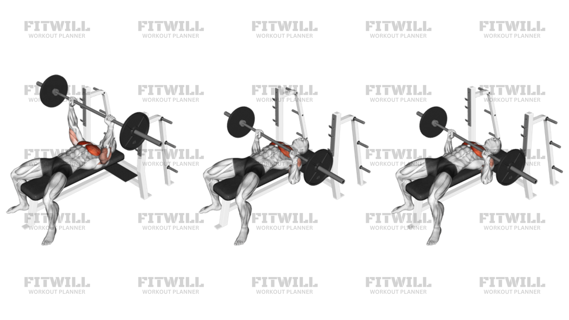 Barbell Pause Bench Press: Exercise Guide, Video, Techniques, Benefits ...