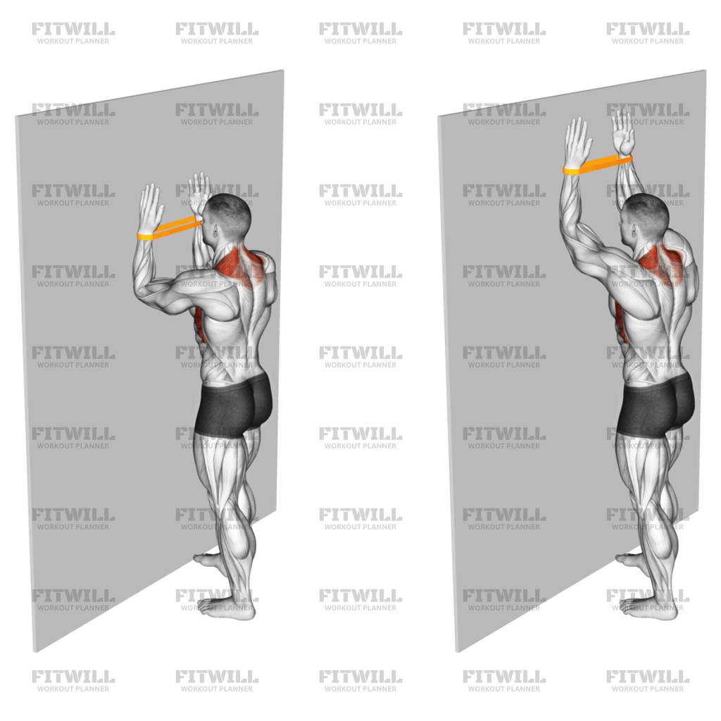 Resistance Band Serratus Wall Slide: Exercise Guide, Techniques ...