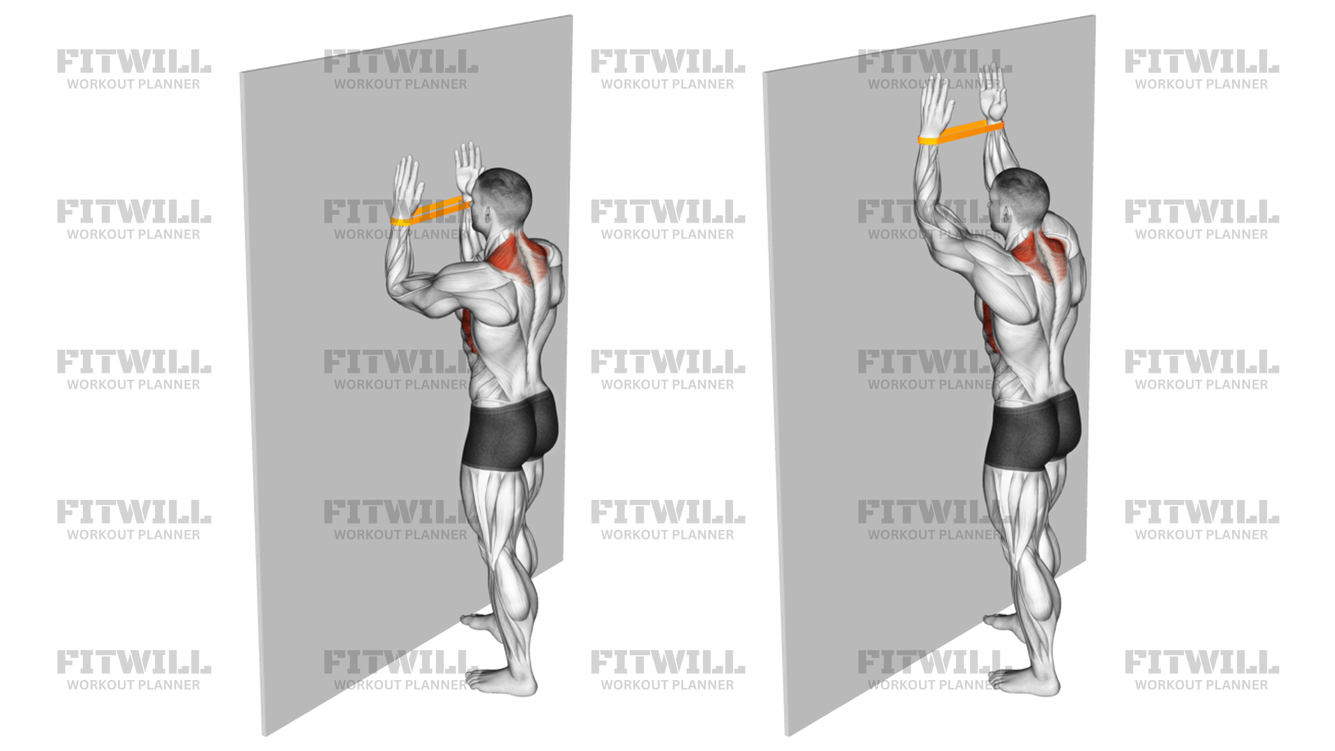 Resistance Band Serratus Wall Slide: Exercise Guide, Techniques ...