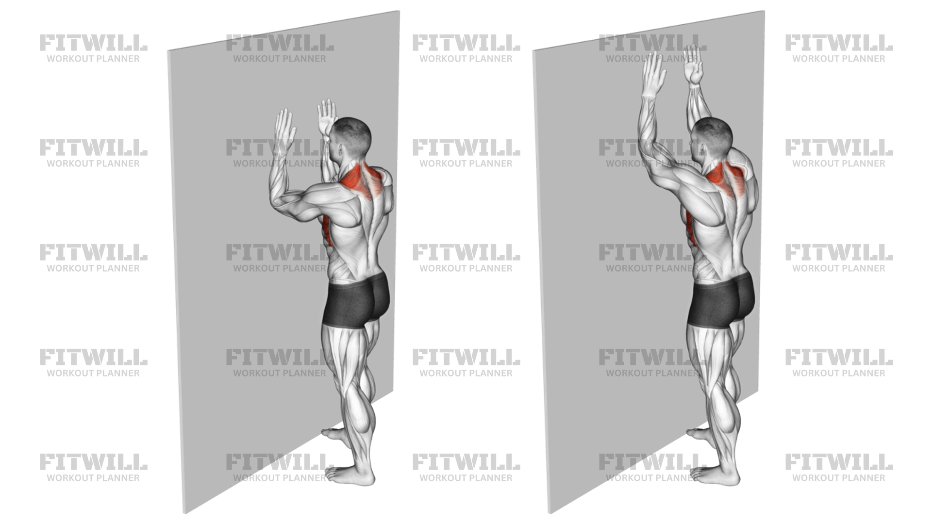 Serratus Wall Slide: Exercise Guide, Techniques, Benefits, How to ...