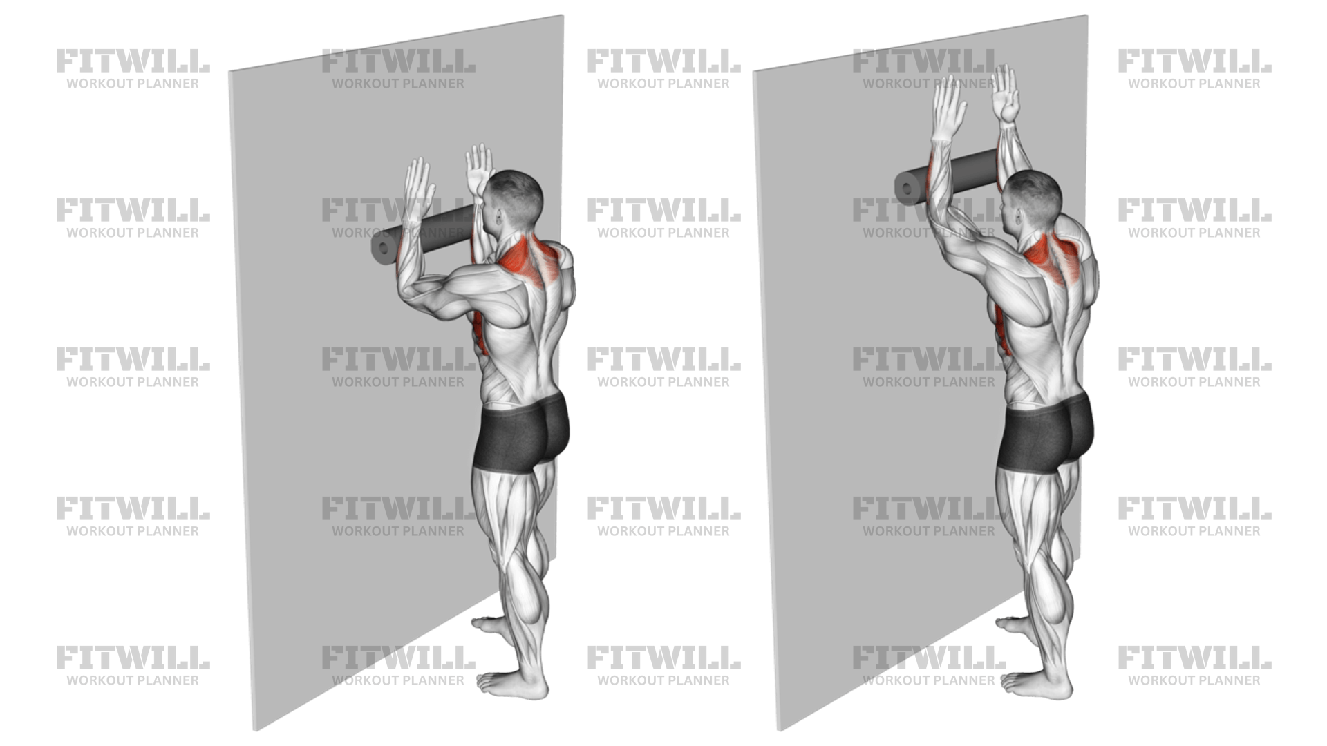 Foam Roll Serratus Wall Slide: Exercise Guide, Video, Techniques ...