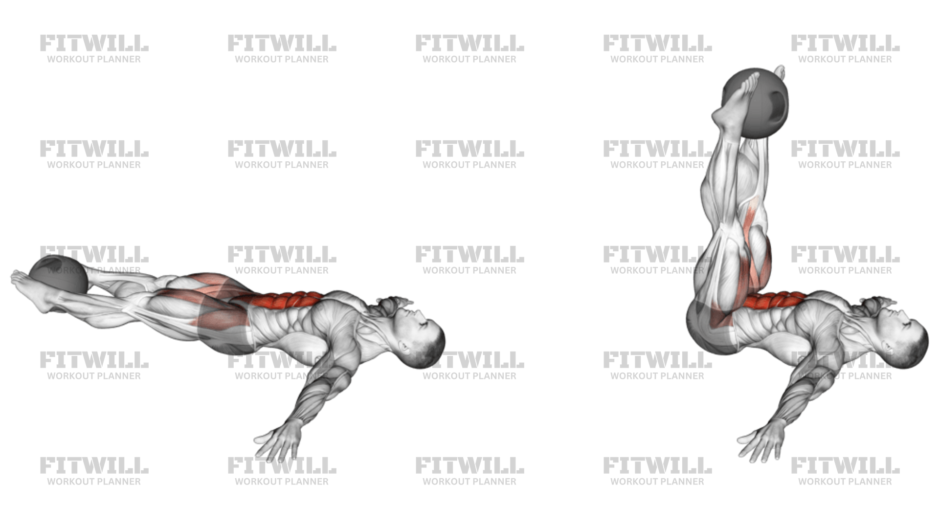 Medicine Ball Lying Leg Raise: Exercise Guide, Video, Techniques ...