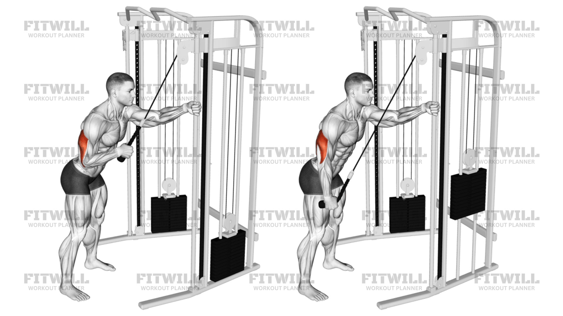 Extensión De Tríceps Con Cable A Un Brazo (Accesorio De Cuerda): Guía ...