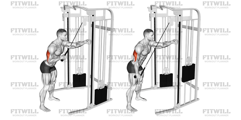 Cable Single Arm Triceps Pushdown (Rope Attachment): Exercise Guide ...