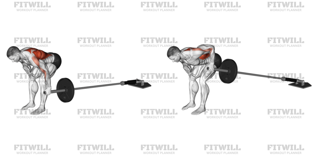 Landmine One Arm Bent Over Row (Version 2): Exercise Guide, Video ...