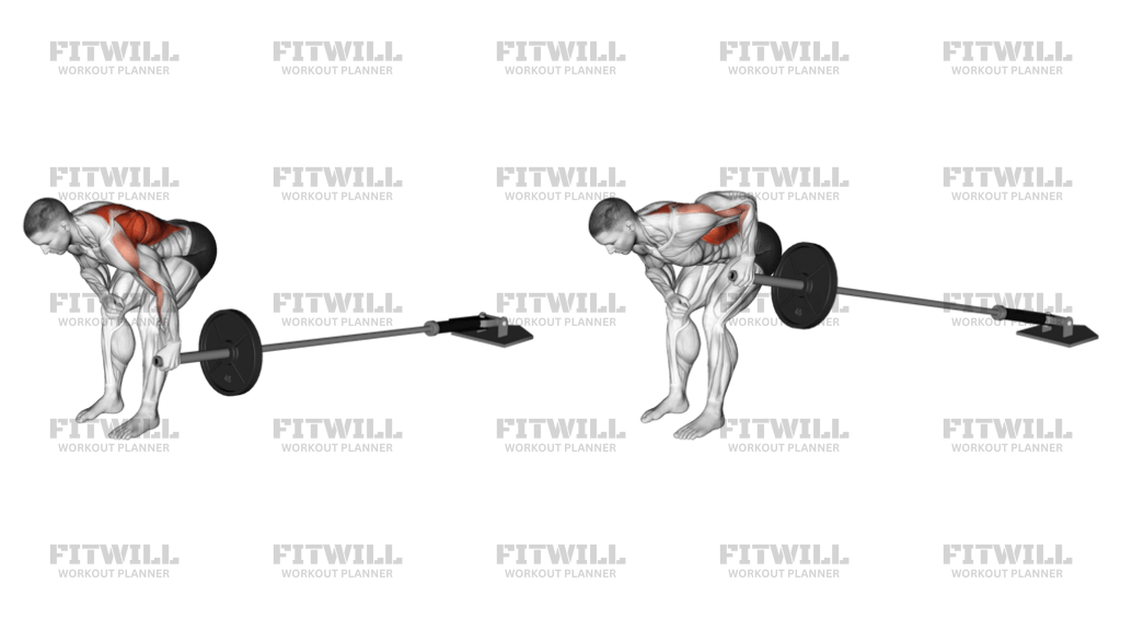 Landmine One Arm Bent Over Row (Version 2): Exercise Guide, Video ...