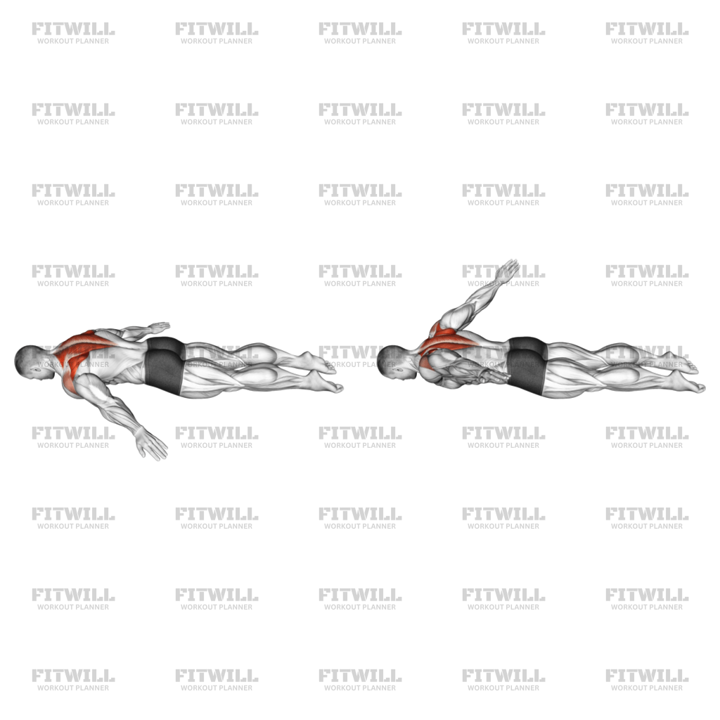 Strengthen Your Back and Posture with Lying Prone Exercises | Workout ...