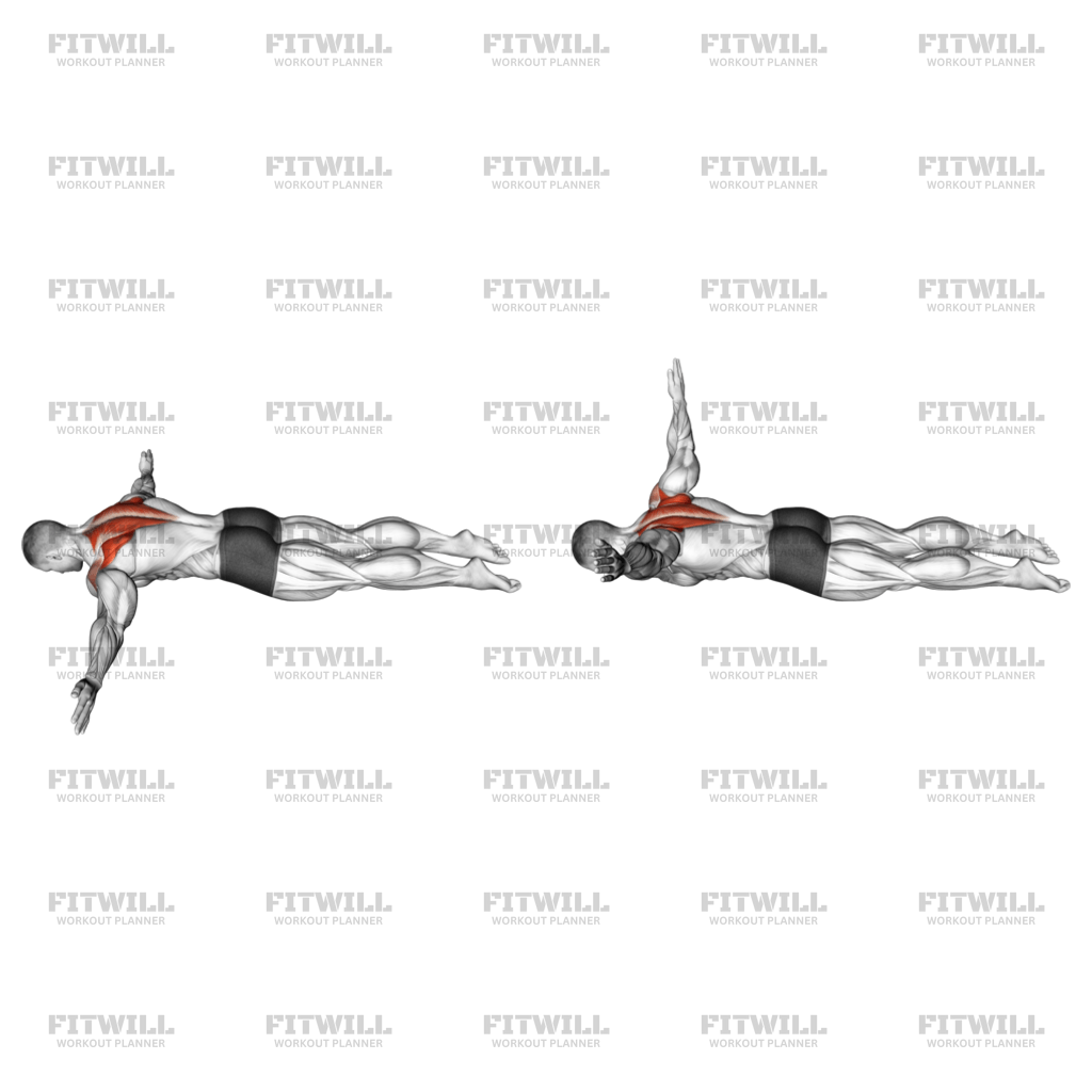 Lying Prone T: Exercise Guide, Video, Techniques, Benefits, How to ...