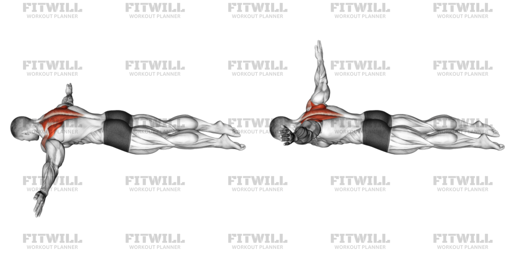 Lying Prone T: Exercise Guide, Video, Techniques, Benefits, How to ...