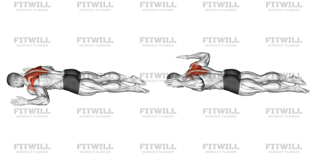 Lying Prone W: Exercise Guide, Video, Techniques, Benefits, How to ...