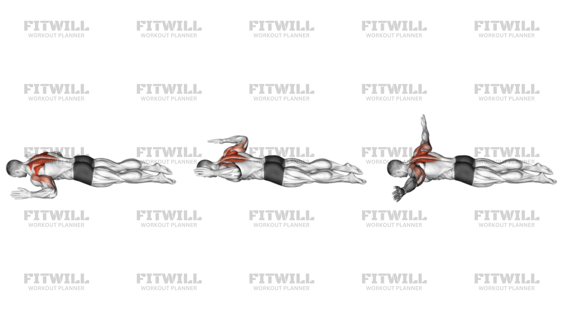 Lying Prone W To T: Exercise Guide, Video, Techniques, Benefits, How to ...