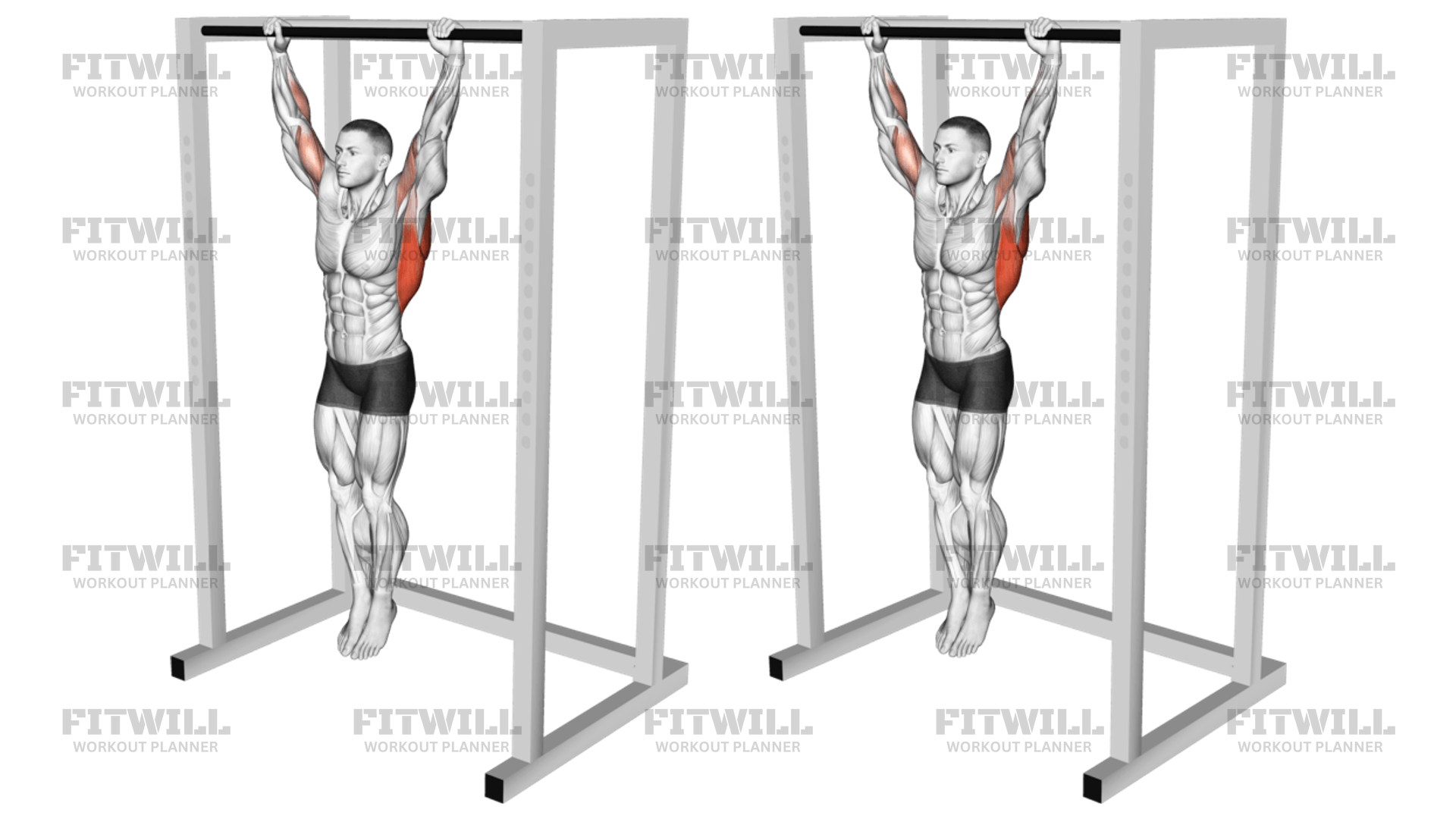 Dead Hang Stretch: Exercise Guide, Video, Techniques, Benefits, How to, Muscles Worked, Tips ...