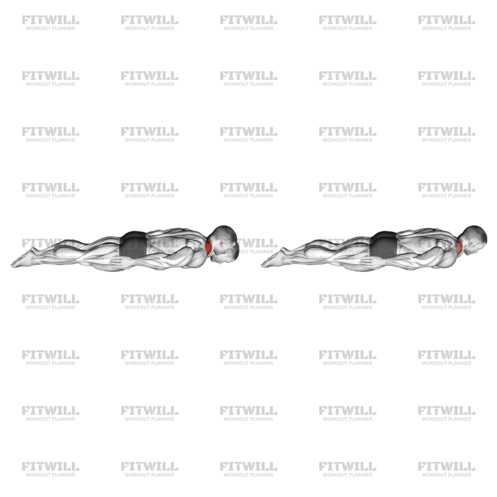 Prone Cervical Extension Isometric Hold: Exercise Guide, Video ...