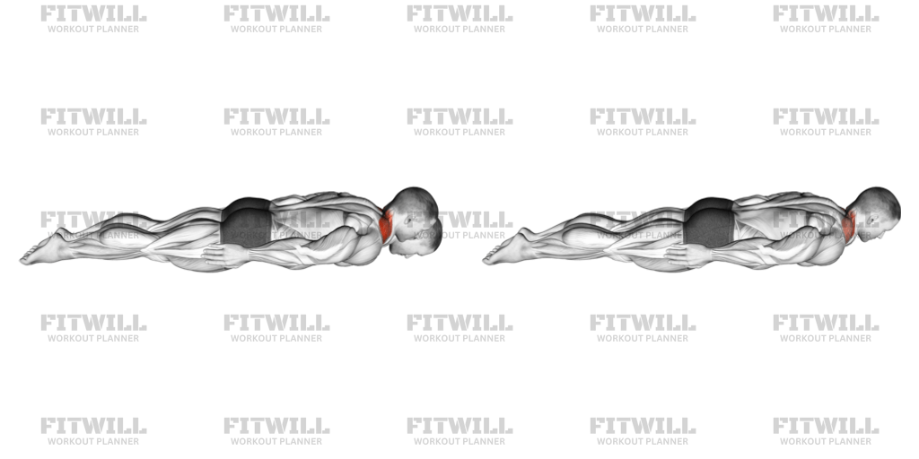 Prone Cervical Extension Isometric Hold: Exercise Guide, Video ...