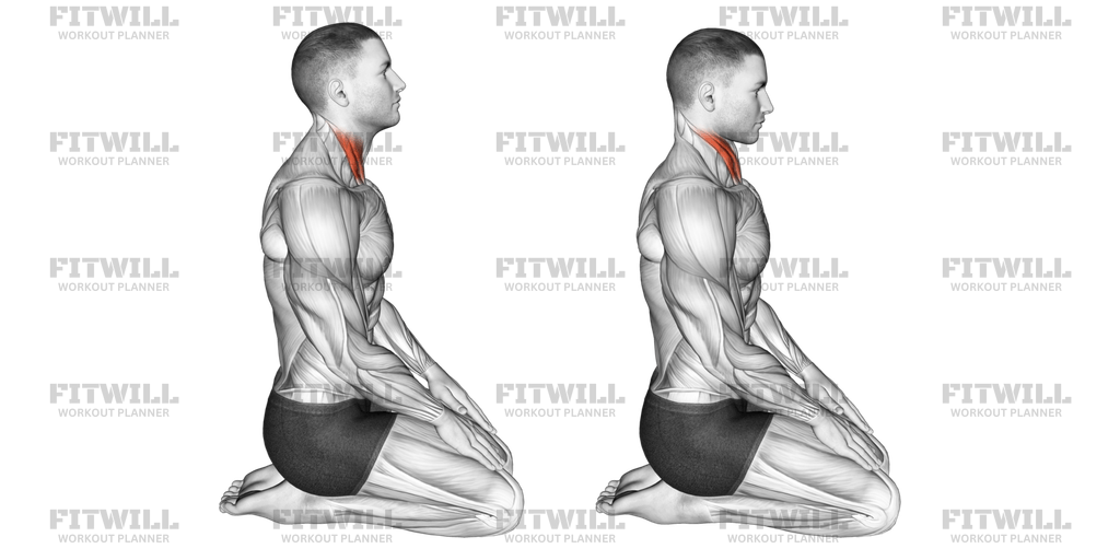 Seated Chin Tuck: Exercise Guide, Video, Techniques, Benefits, How to ...