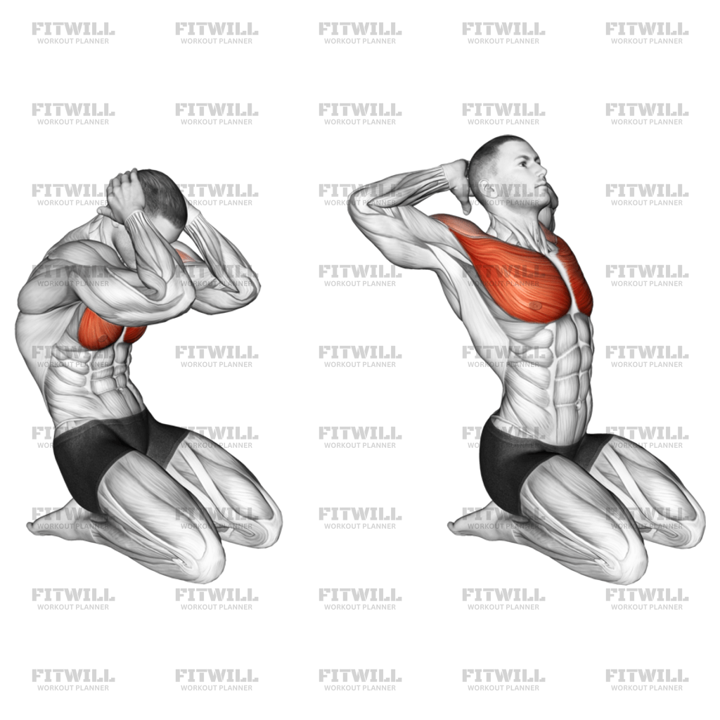 Seated Chest Clam: Exercise Guide, Video, Techniques, Benefits, How to ...