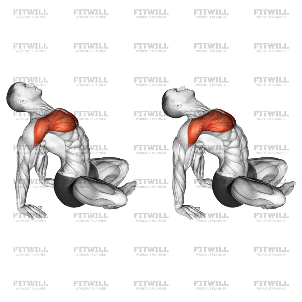 Seated Sky Look: Exercise Guide, Video, Techniques, Benefits, How to ...