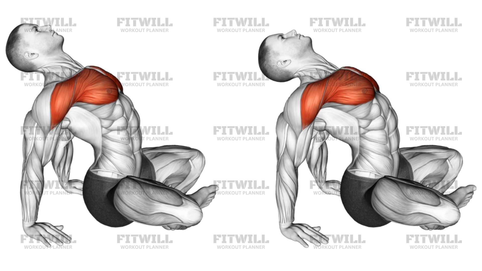 Seated Sky Look: Exercise Guide, Video, Techniques, Benefits, How to ...