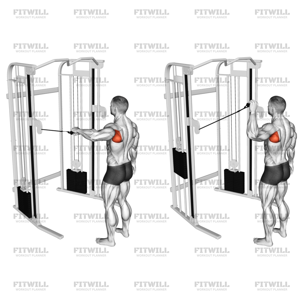Cable Shoulder 90 Degrees External Rotation: Exercise Guide, Video ...