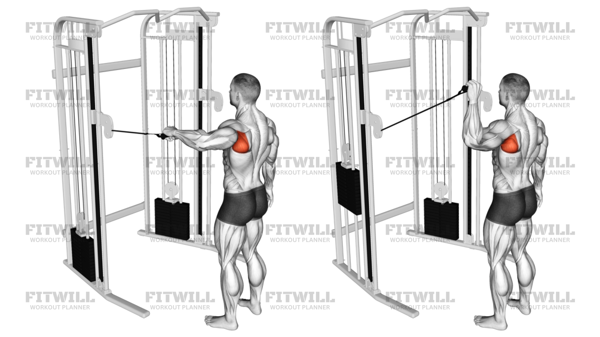 Cable Shoulder 90 Degrees External Rotation: Exercise Guide, Video ...