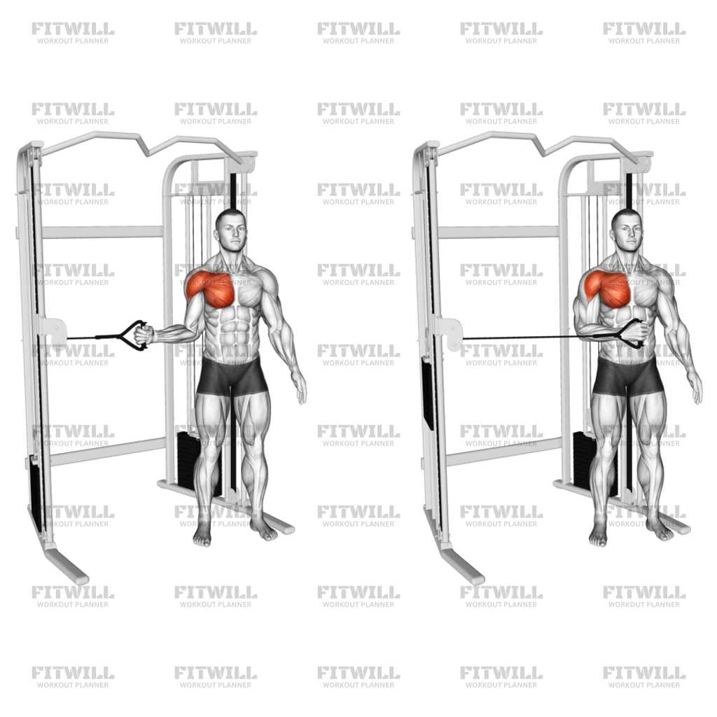 Cable Shoulder Internal Rotation: Exercise Guide, Video, Techniques ...