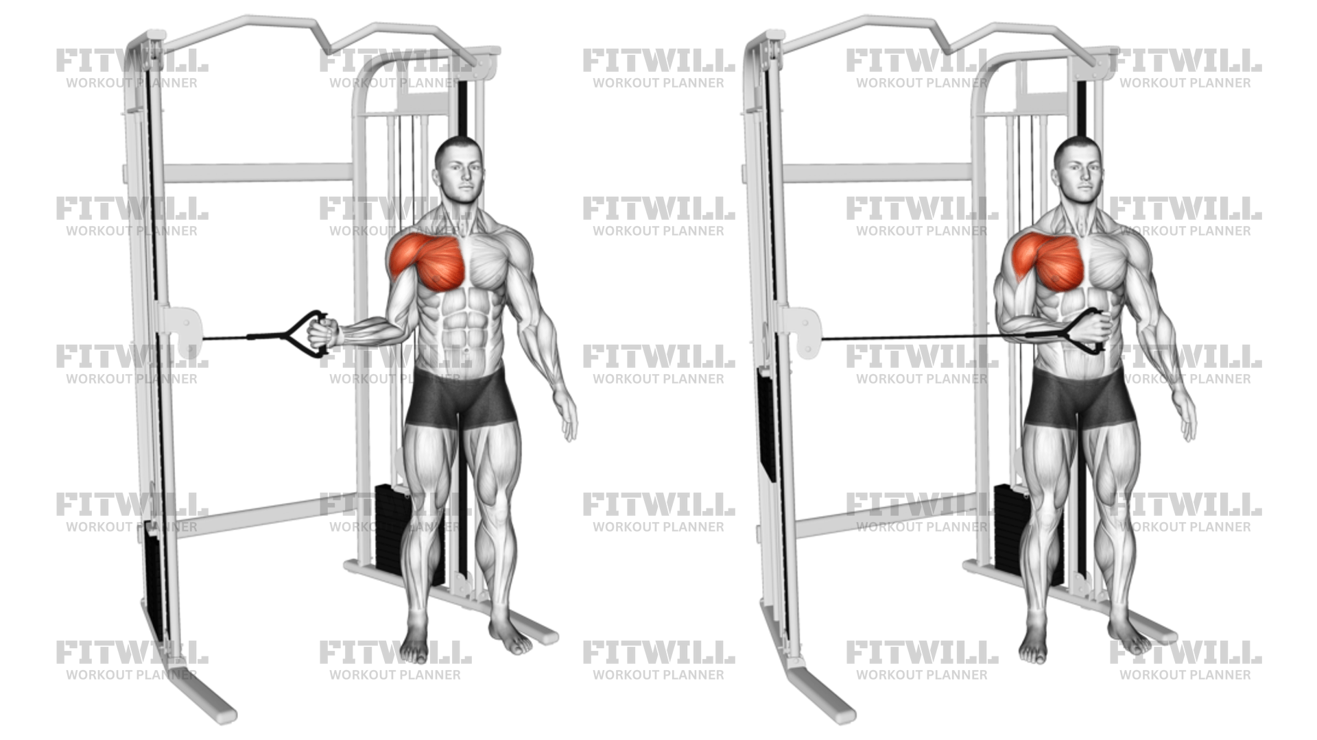 Cable Shoulder Internal Rotation: Exercise Guide, Video, Techniques ...