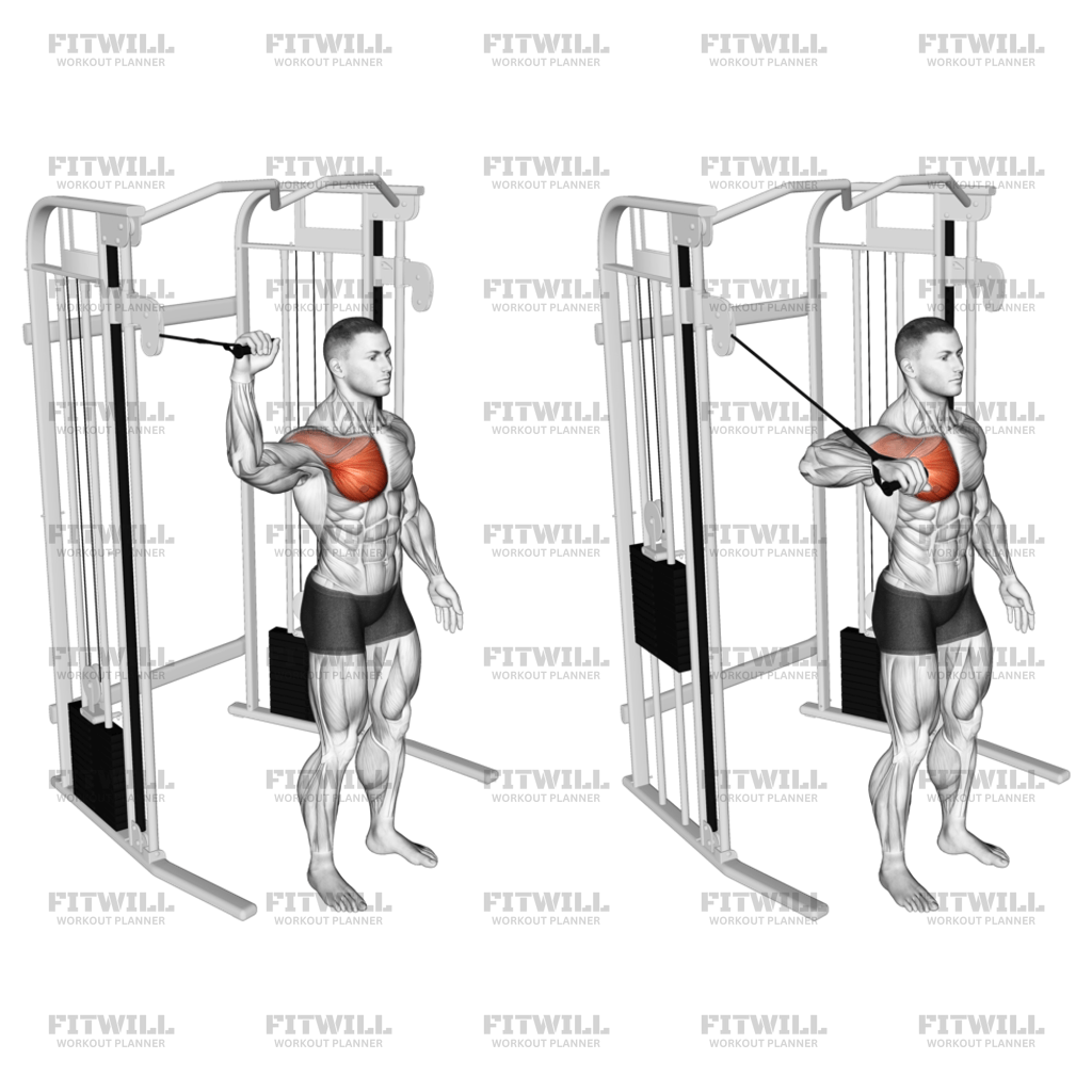 Cable Shoulder 90 Degrees Internal Rotation: Exercise Guide, Video ...