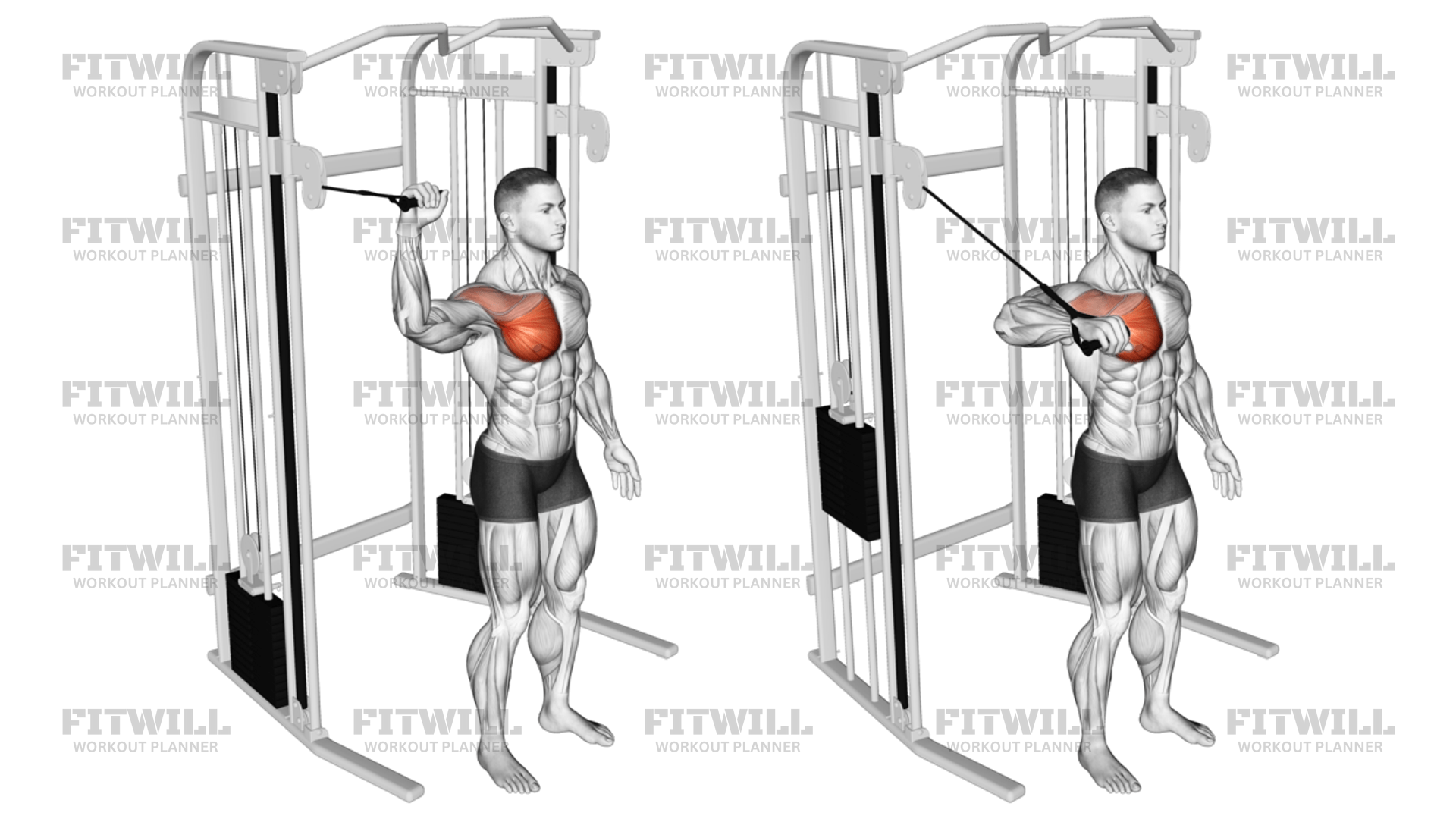 Cable Shoulder 90 Degrees Internal Rotation: Exercise Guide, Video ...