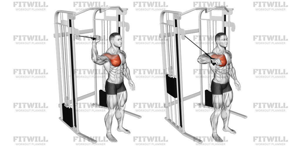 Cable Shoulder 90 Degrees Internal Rotation: Exercise Guide, Video ...
