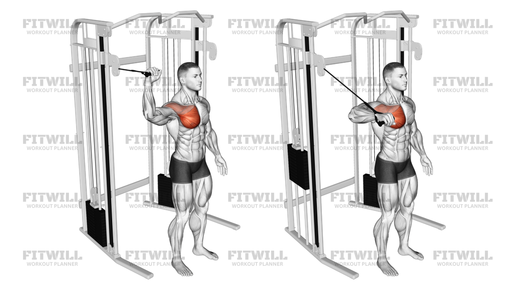 Cable Shoulder 90 Degrees Internal Rotation: Exercise Guide, Video ...