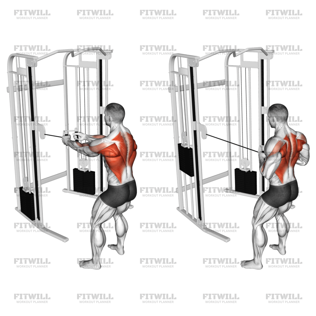 Cable Standing Row: Exercise Guide, Video, Techniques, Benefits, How to ...