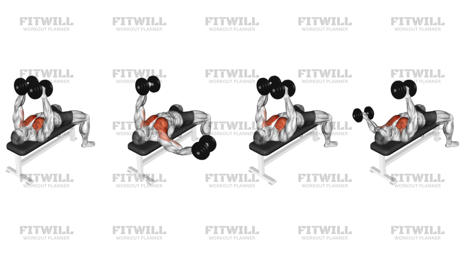 Dumbbell Single Arm Alternate Fly: Exercise Guide, Video, Techniques ...