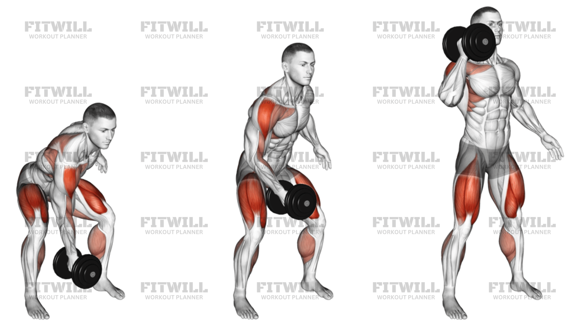 Dumbbell Single Power Clean: Exercise Guide, Video, Techniques ...