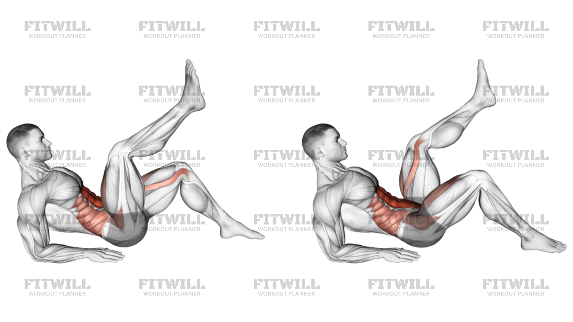 Alternate Toe Tap Leg Lift: Exercise Guide, Video, Techniques, Benefits ...