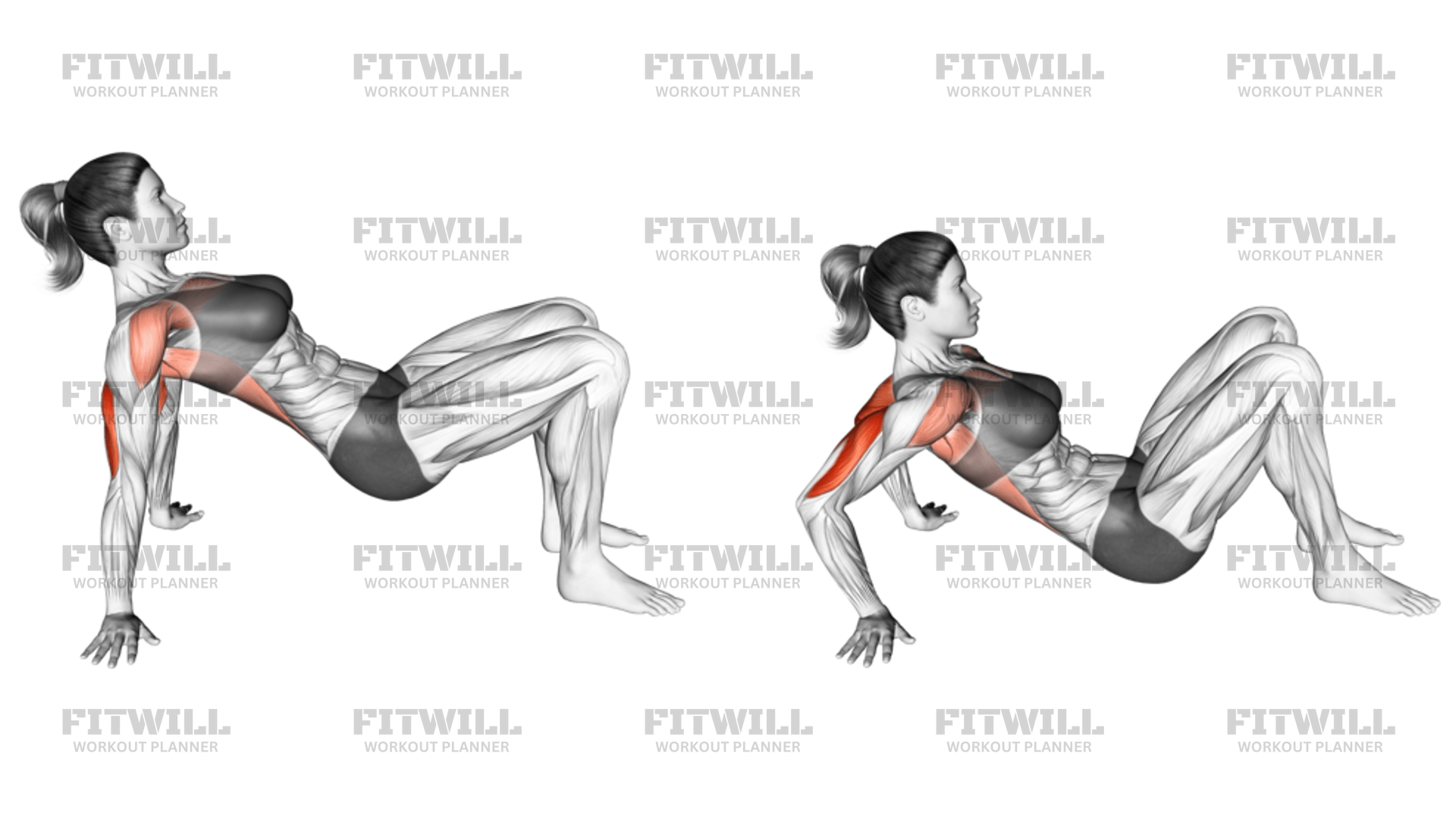 Triceps Dip Floor: Exercise Guide, Video, Techniques, Benefits, How to ...