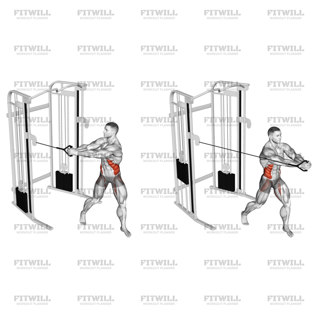 Cable Twist (VERSION 2): Exercise Guide, Techniques, Benefits, How to ...