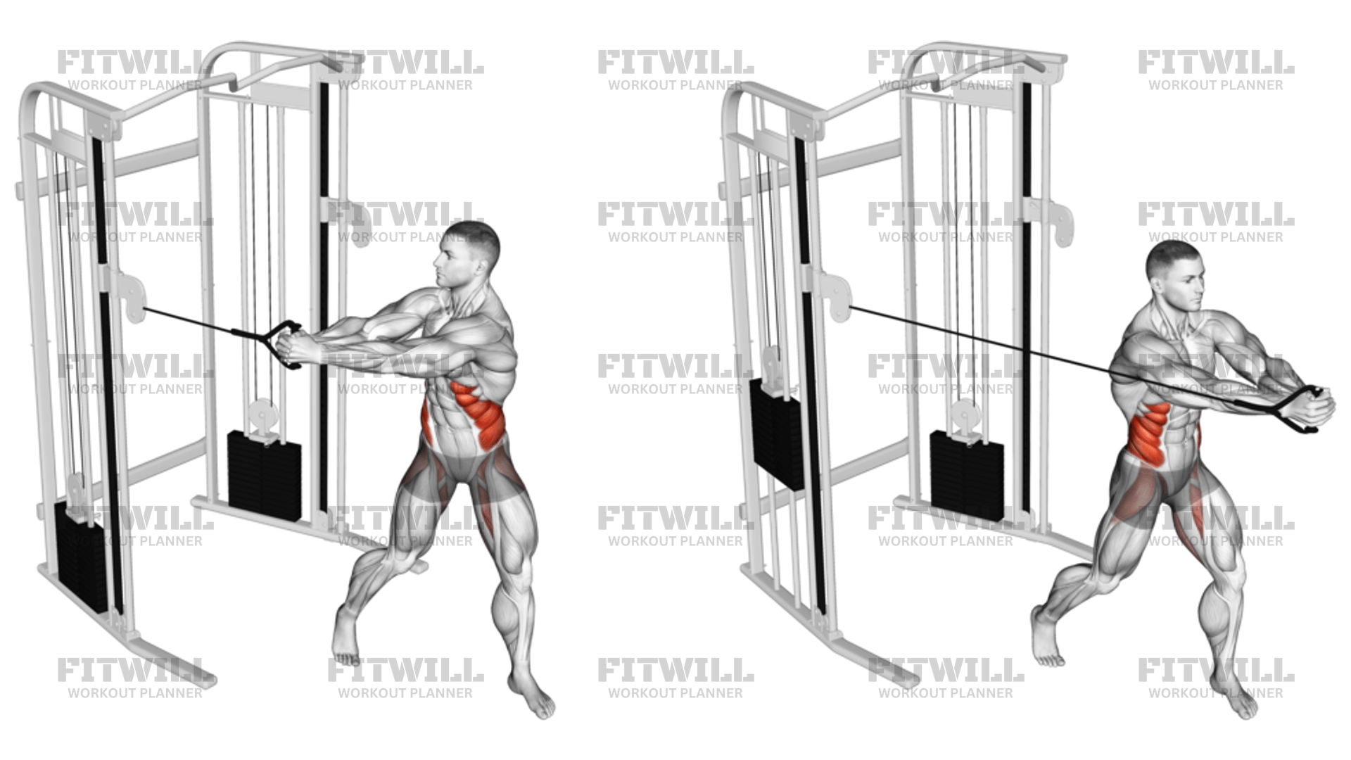 Cable Twist (VERSION 2): Exercise Guide, Techniques, Benefits, How to ...