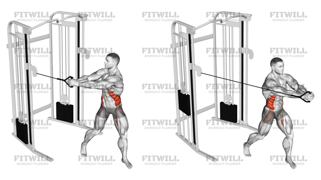 Cable Twist (VERSION 2): Exercise Guide, Techniques, Benefits, How to ...
