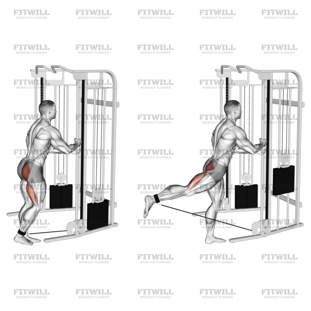 Cable Kickback: Exercise Guide, Techniques, Benefits, How to, Muscles ...
