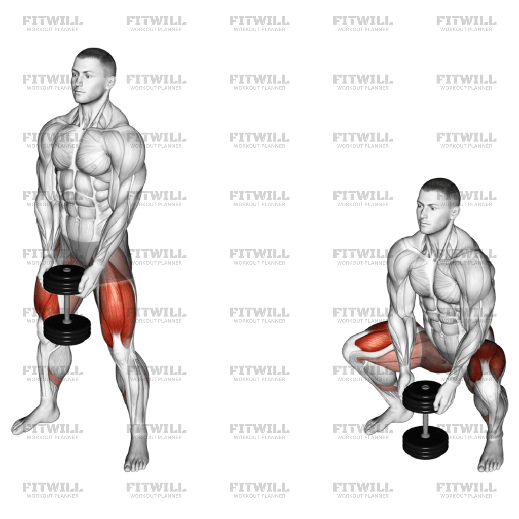 Dumbbell Sumo Squat Exercise Guide Video Techniques Benefits How To Muscles Worked Tips
