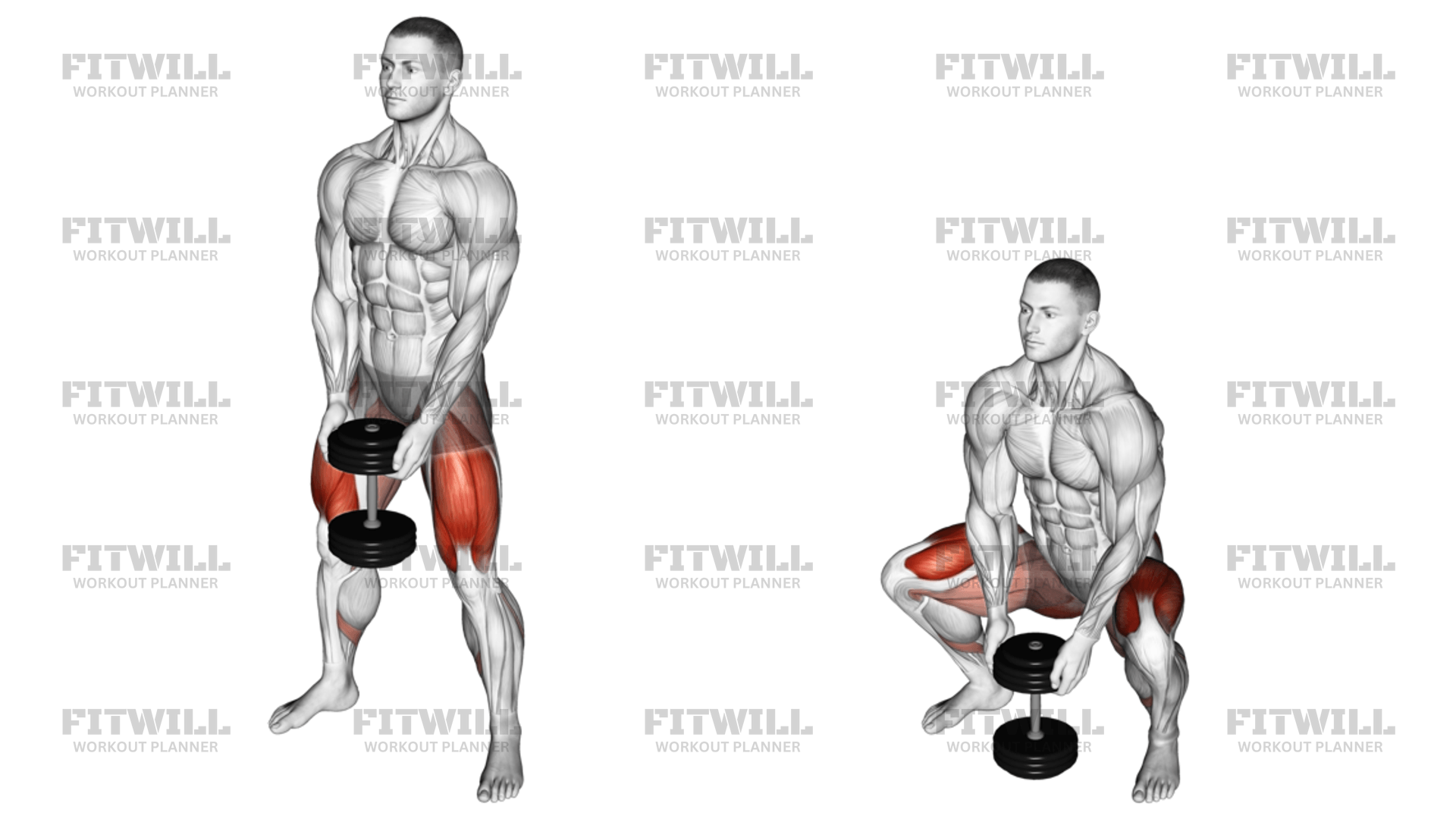 Dumbbell Sumo Squat: Exercise Guide, Video, Techniques, Benefits, How ...
