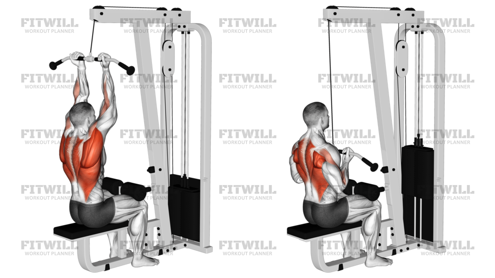 Cable Reverse Grip Pulldown: Exercise Guide, Video, Techniques, Benefits, How to, Muscles Worked ...